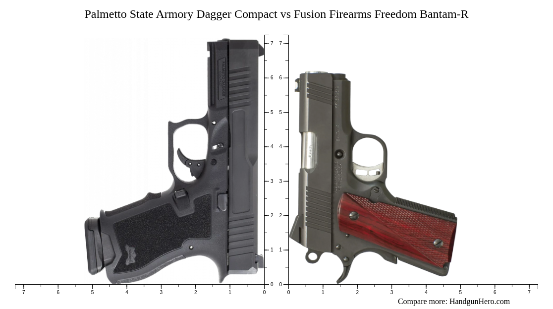Palmetto State Armory Dagger Compact vs Fusion Firearms Freedom Bantam ...