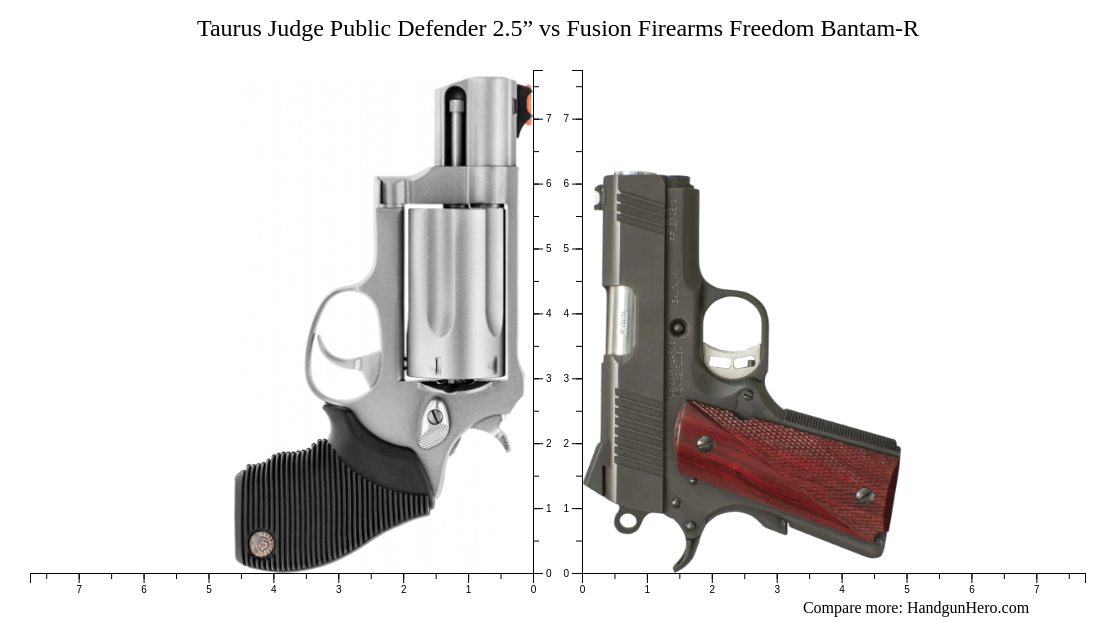 Taurus Judge Public Defender 2.5” vs Fusion Firearms Freedom Bantam-R ...