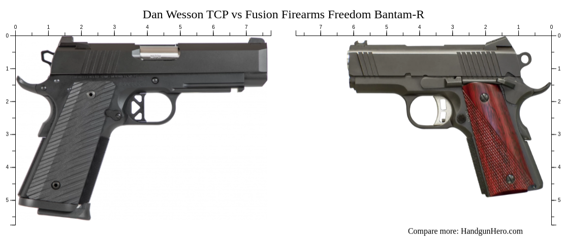 Dan Wesson TCP vs Fusion Firearms Freedom Bantam-R size comparison ...