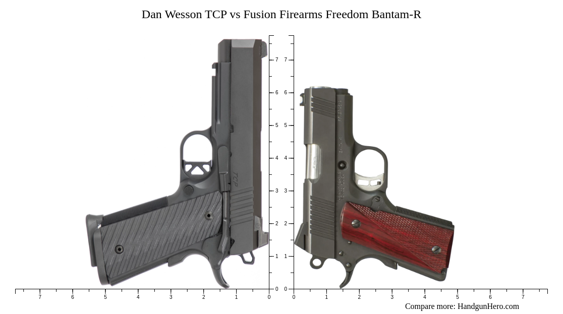 Dan Wesson TCP vs Fusion Firearms Freedom Bantam-R size comparison ...