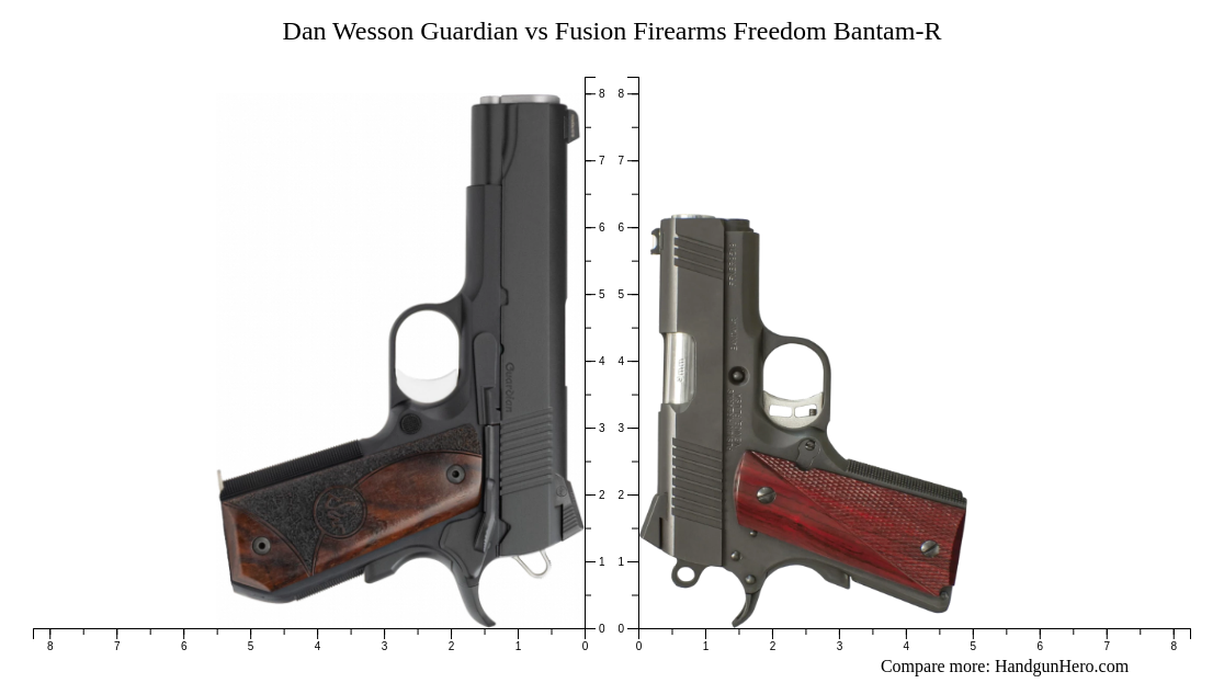 Dan Wesson Guardian vs Fusion Firearms Freedom Bantam-R size comparison ...