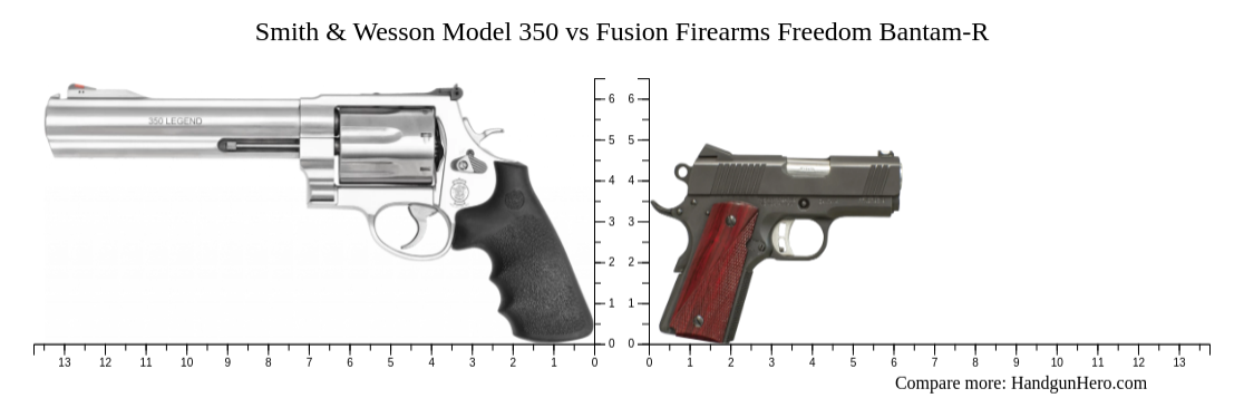 Smith & Wesson Model 350 vs Fusion Firearms Freedom Bantam-R size ...