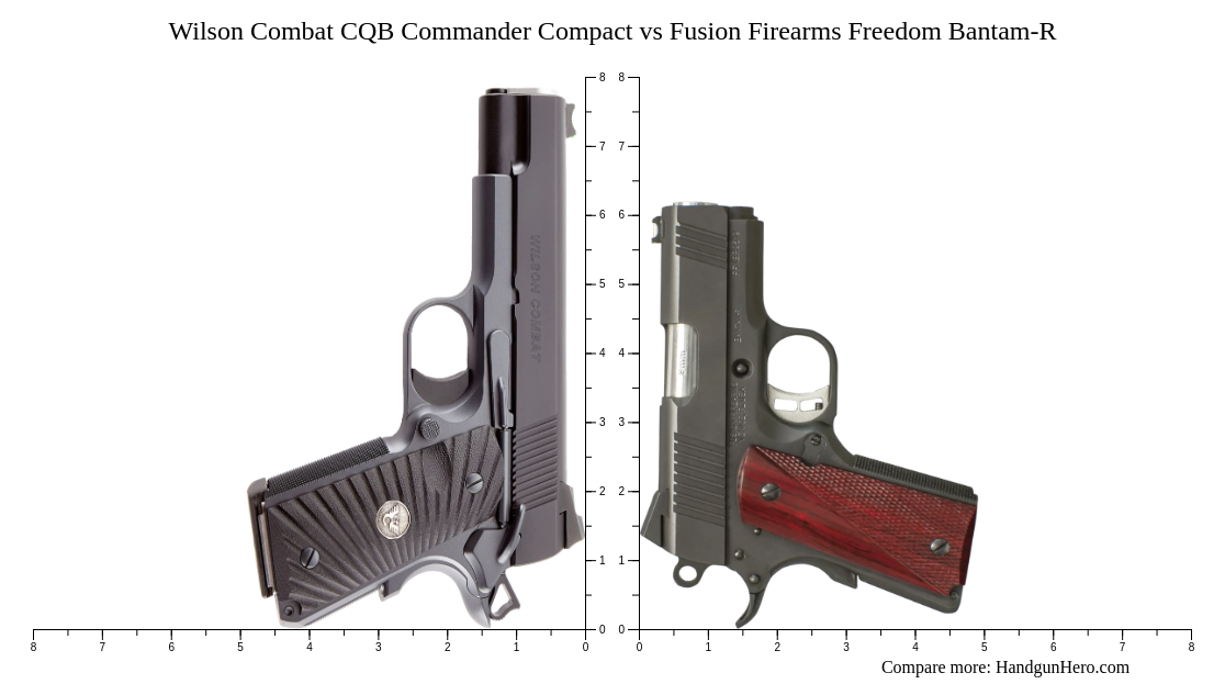 Wilson Combat CQB Commander Compact vs Fusion Firearms Freedom Bantam-R ...