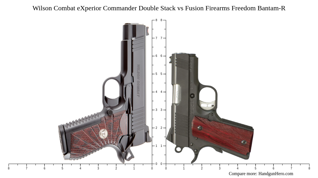 Wilson Combat eXperior Commander Double Stack vs Fusion Firearms ...
