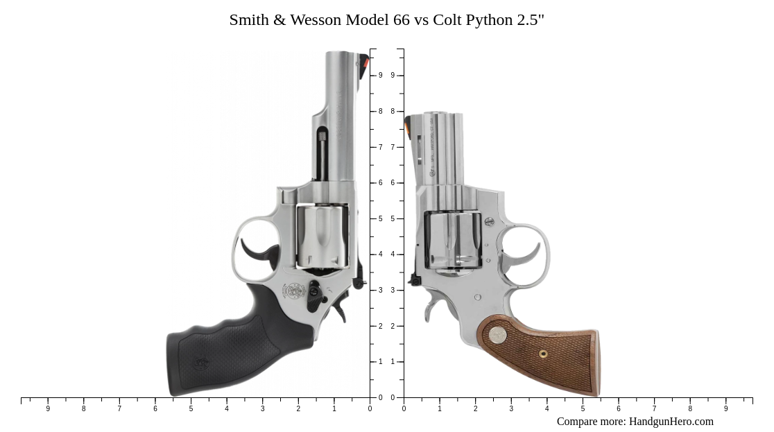 Smith & Wesson Model 66 vs Colt Python 2.5" size comparison | Handgun Hero