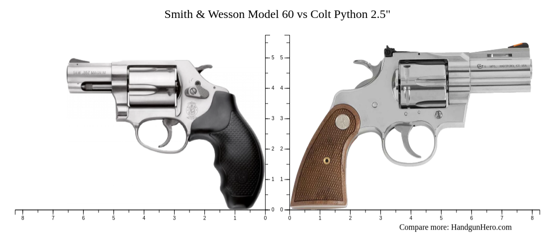 Smith & Wesson Model 60 vs Colt Python 2.5" size comparison | Handgun Hero