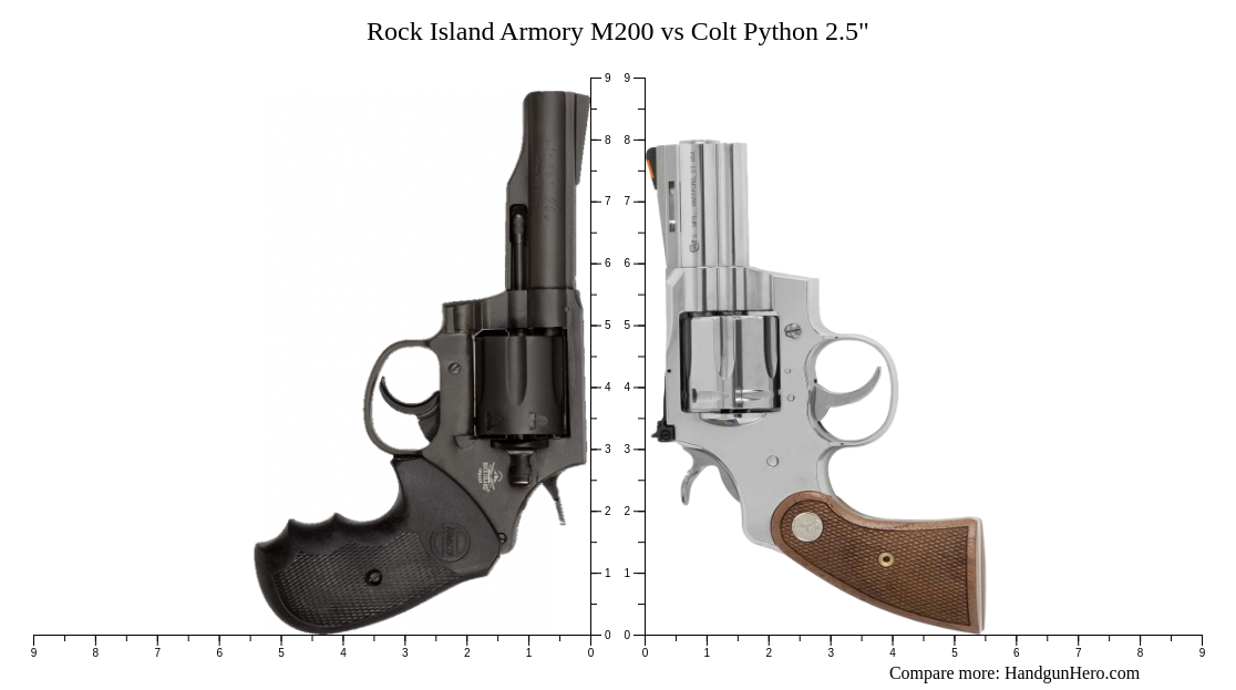 Rock Island Armory M200 vs Colt Python 2.5" size comparison | Handgun Hero