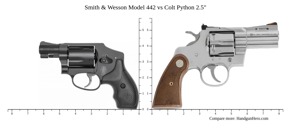 Smith & Wesson Model 442 vs Colt Python 2.5" size comparison | Handgun Hero