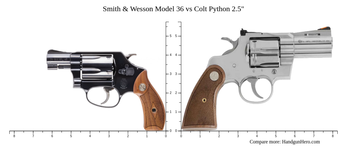 Smith & Wesson Model 36 vs Colt Python 2.5" size comparison | Handgun Hero