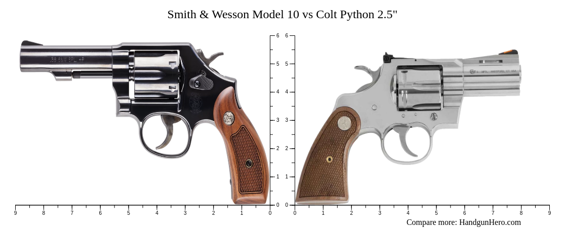 Smith & Wesson Model 10 vs Colt Python 2.5" size comparison | Handgun Hero