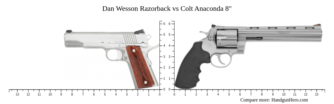 Dan Wesson Razorback vs Colt Anaconda 8" size comparison | Handgun Hero