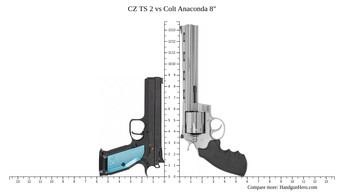 CZ TS 2 vs Colt Anaconda 8" size comparison | Handgun Hero