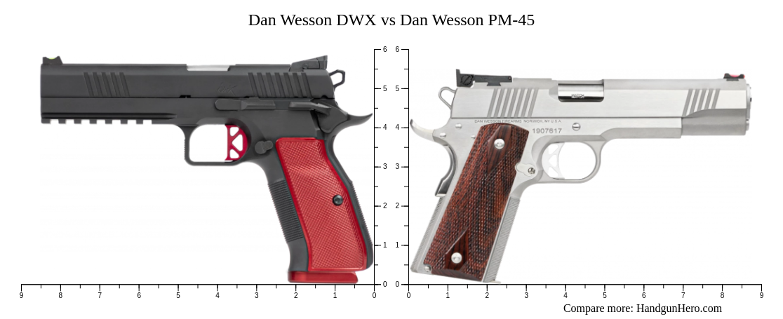 Dan Wesson DWX vs Dan Wesson PM-45 size comparison | Handgun Hero