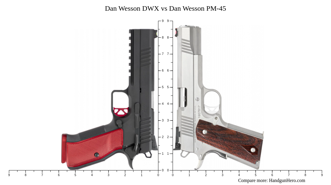 Dan Wesson DWX vs Dan Wesson PM-45 size comparison | Handgun Hero