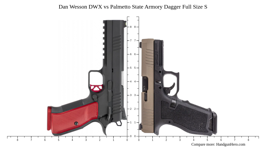 Dan Wesson DWX vs Palmetto State Armory Dagger Full Size S size ...