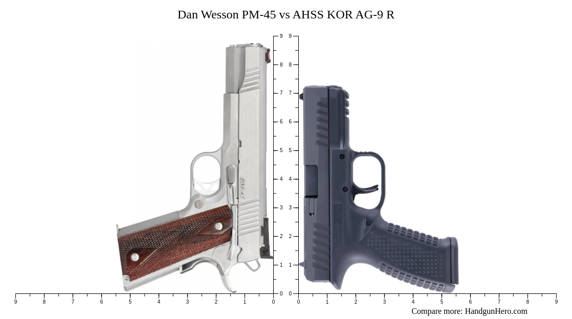 Dan Wesson PM-45 vs AHSS KOR AG-9 R size comparison | Handgun Hero