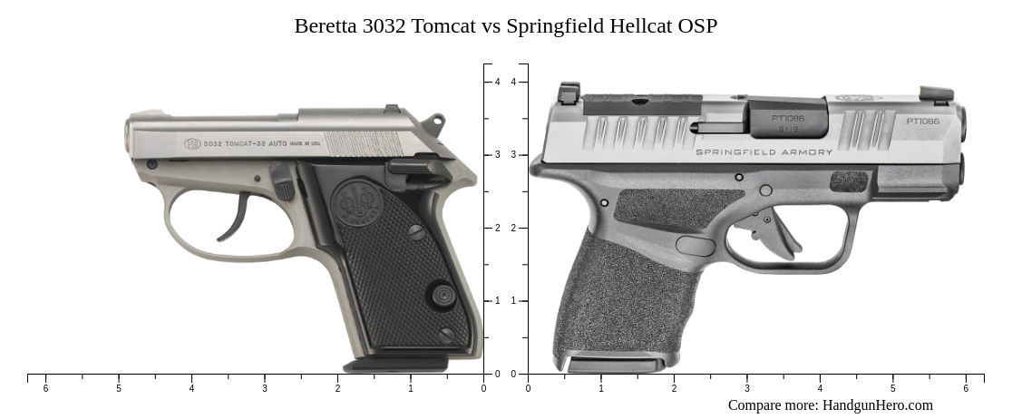 Beretta 3032 Tomcat vs Springfield Hellcat OSP size comparison ...