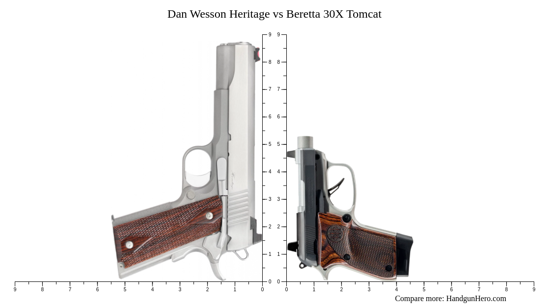 Dan Wesson Heritage vs Beretta 30X Tomcat size comparison | Handgun Hero
