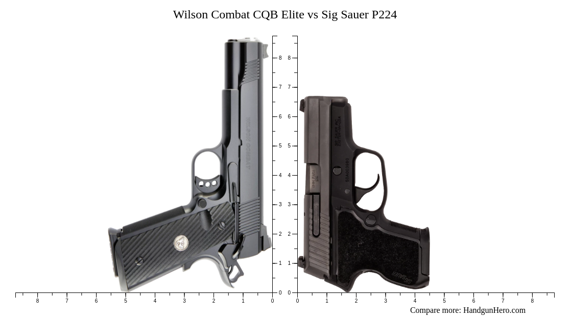 Wilson Combat CQB Elite vs Sig Sauer P224 size comparison | Handgun Hero