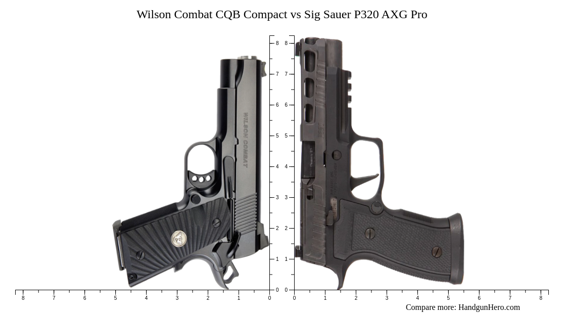 Wilson Combat CQB Compact vs Sig Sauer P320 AXG Pro size comparison ...
