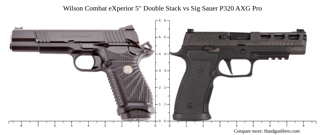 Wilson Combat eXperior 5" Double Stack vs Sig Sauer P320 AXG Pro size ...