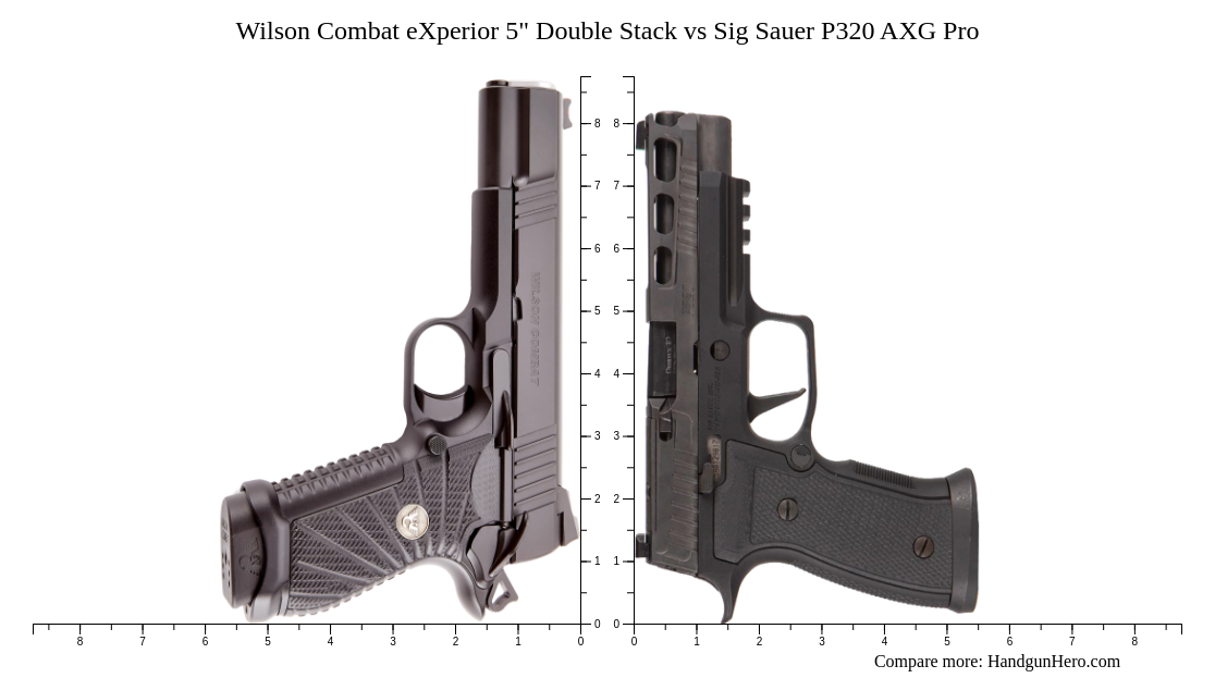 Wilson Combat eXperior 5" Double Stack vs Sig Sauer P320 AXG Pro size ...