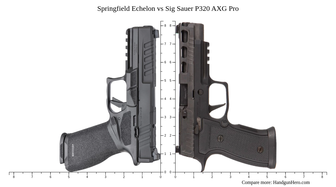 Springfield Echelon vs Sig Sauer P320 AXG Pro size comparison | Handgun ...