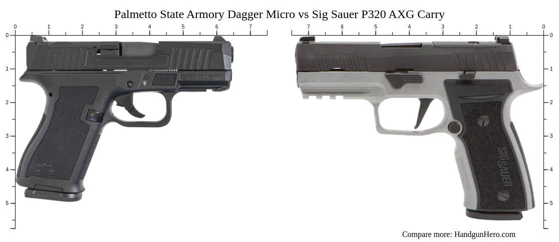 Palmetto State Armory Dagger Micro vs Sig Sauer P320 AXG Carry size ...