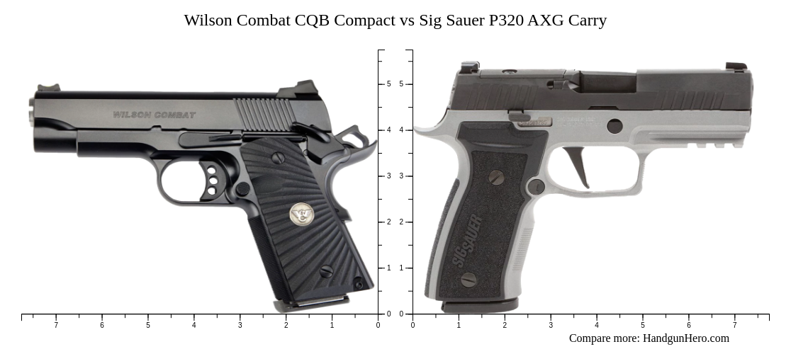 Wilson Combat CQB Compact vs Sig Sauer P320 AXG Carry size comparison ...