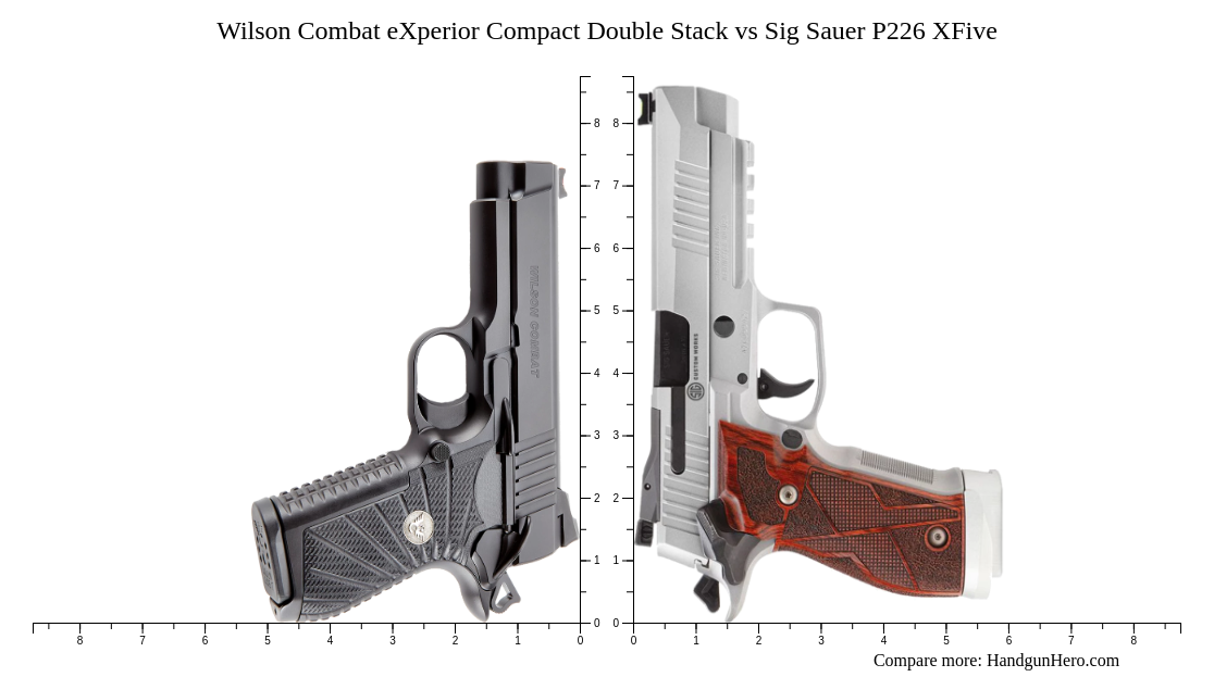Wilson Combat eXperior Compact Double Stack vs Sig Sauer P226 XFive ...