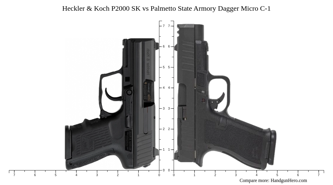 Heckler & Koch P2000 SK vs Palmetto State Armory Dagger Micro C-1 size ...