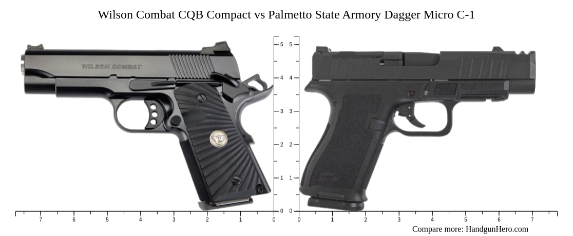 Wilson Combat CQB Compact vs Palmetto State Armory Dagger Micro C-1 ...