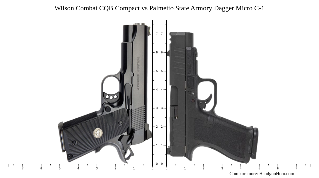 Wilson Combat CQB Compact vs Palmetto State Armory Dagger Micro C-1 ...