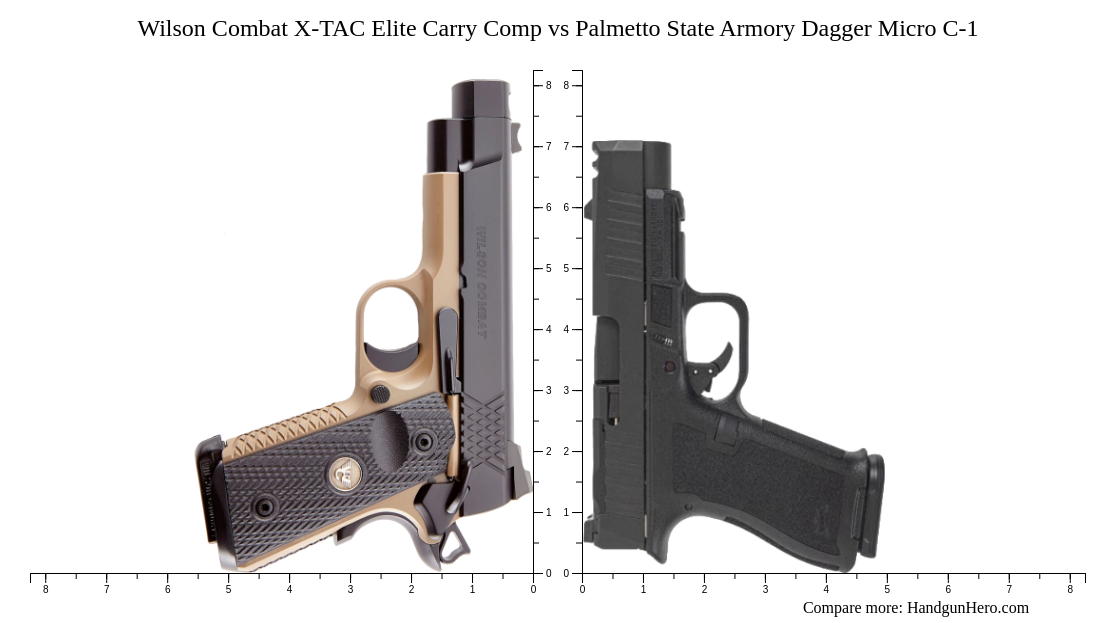 Wilson Combat X-TAC Elite Carry Comp vs Palmetto State Armory Dagger ...