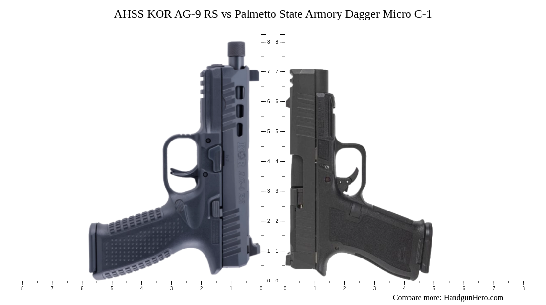AHSS KOR AG-9 RS vs Palmetto State Armory Dagger Micro C-1 size ...