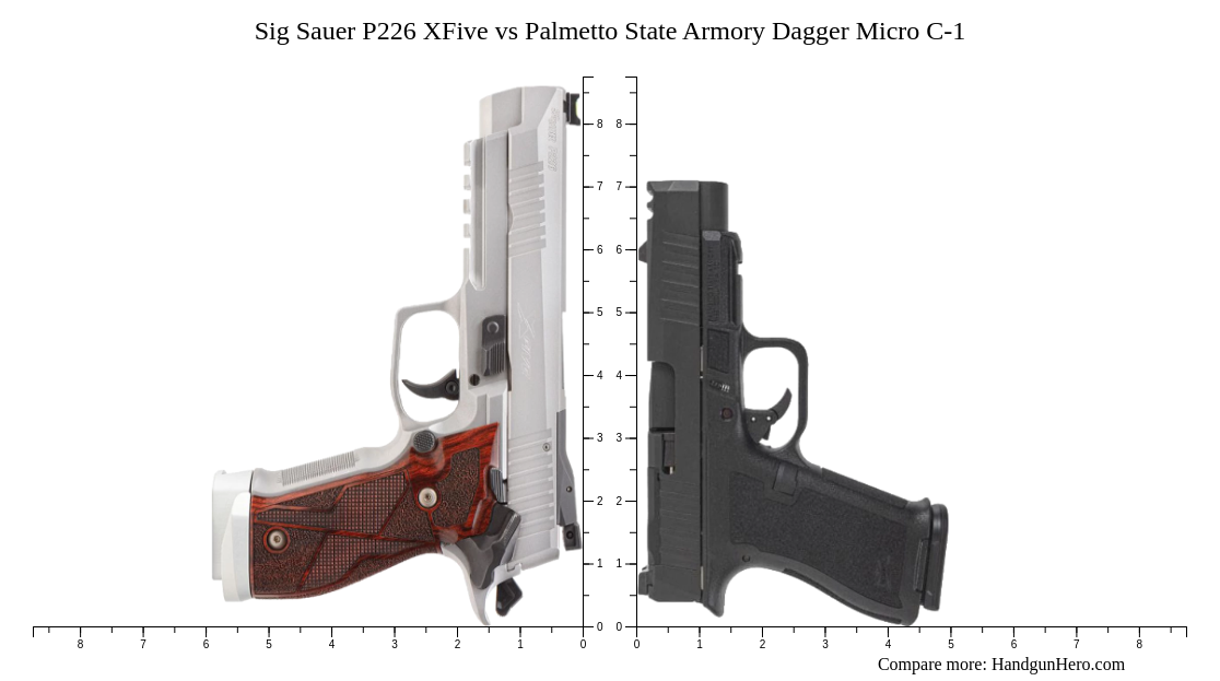 Sig Sauer P226 XFive vs Palmetto State Armory Dagger Micro C-1 size ...