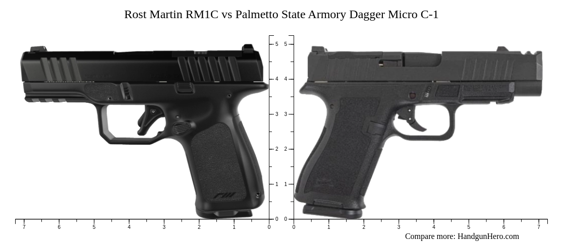 Rost Martin RM1C vs Palmetto State Armory Dagger Micro C-1 size ...
