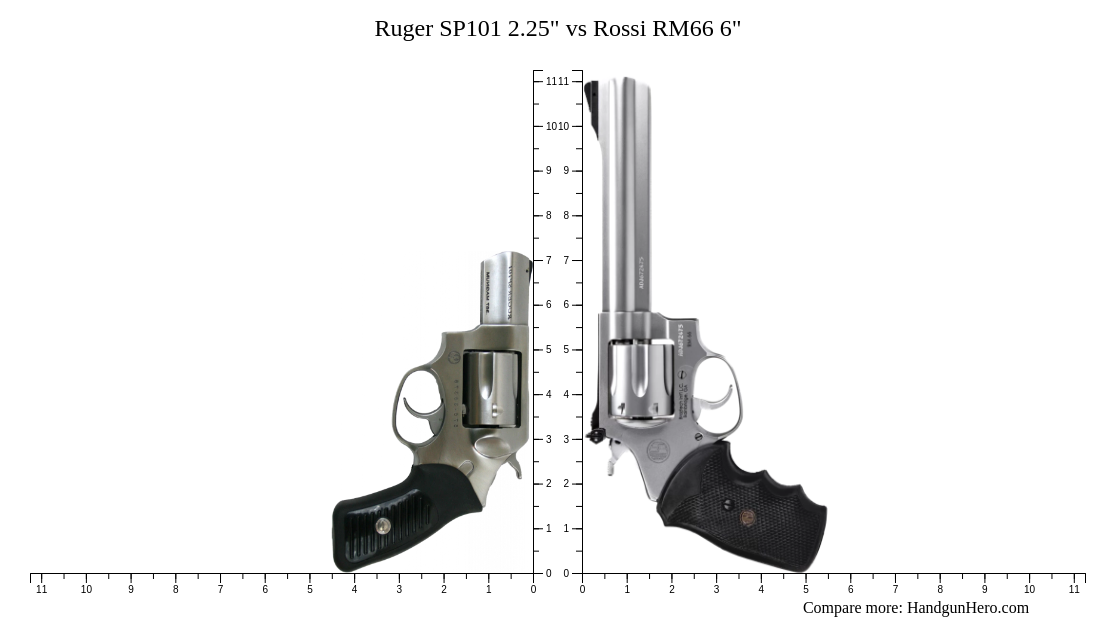 Ruger SP101 2.25" vs Rossi RM66 6" size comparison | Handgun Hero