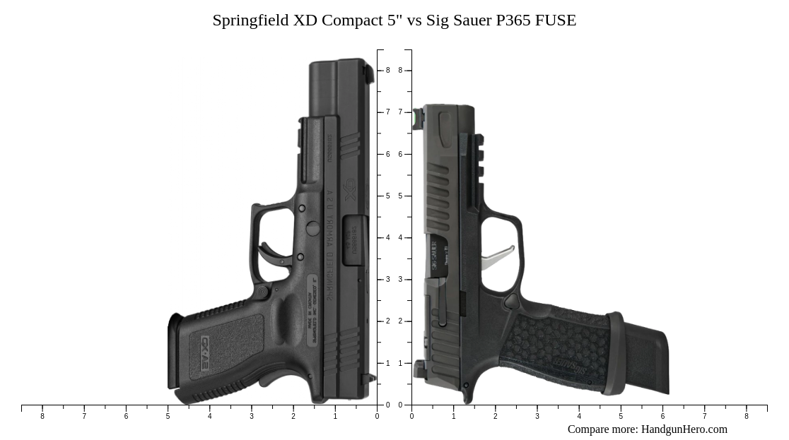 Springfield XD Compact 5" vs Sig Sauer P365 FUSE size comparison ...