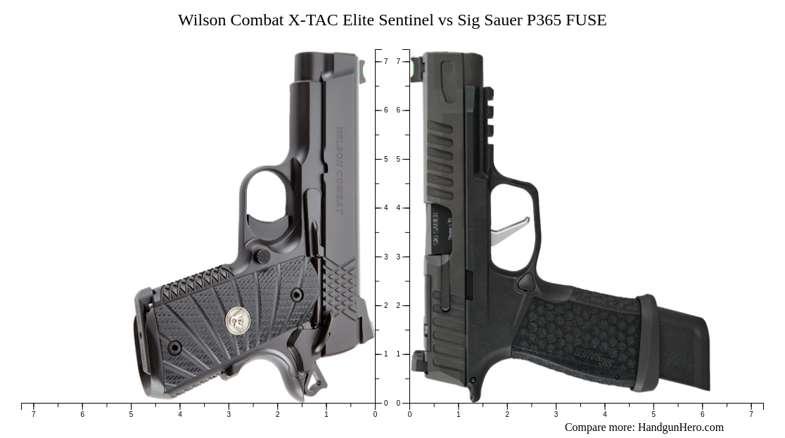 Wilson Combat X-TAC Elite Sentinel vs Sig Sauer P365 FUSE size ...