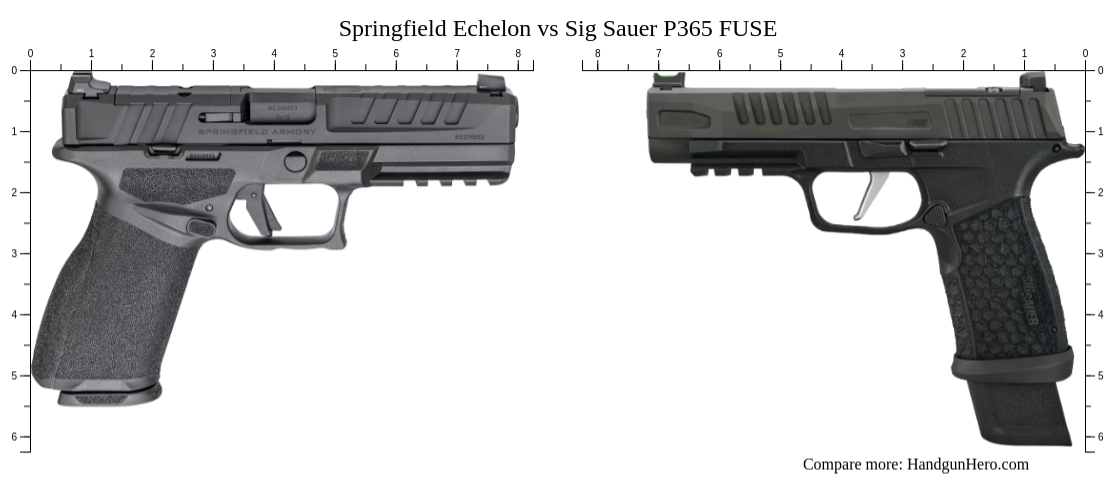 Springfield Echelon vs Sig Sauer P365 FUSE size comparison | Handgun Hero