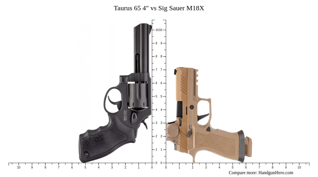 Taurus 65 4" vs Sig Sauer M18X size comparison | Handgun Hero