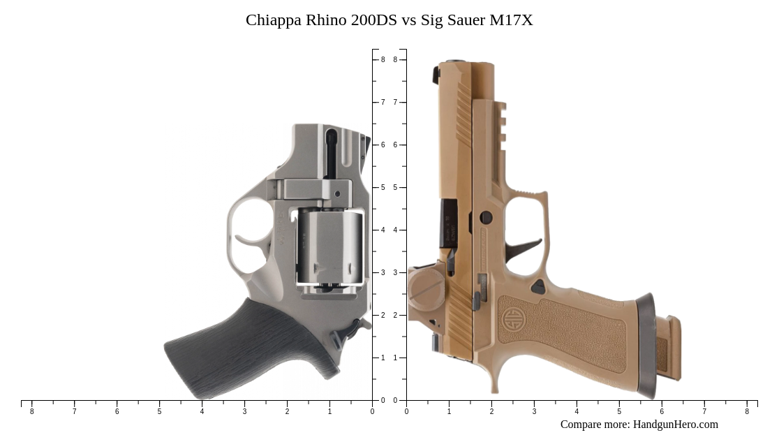Chiappa Rhino 200DS vs Sig Sauer M17X size comparison | Handgun Hero