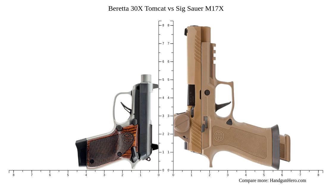 Beretta 30X Tomcat vs Sig Sauer M17X size comparison | Handgun Hero