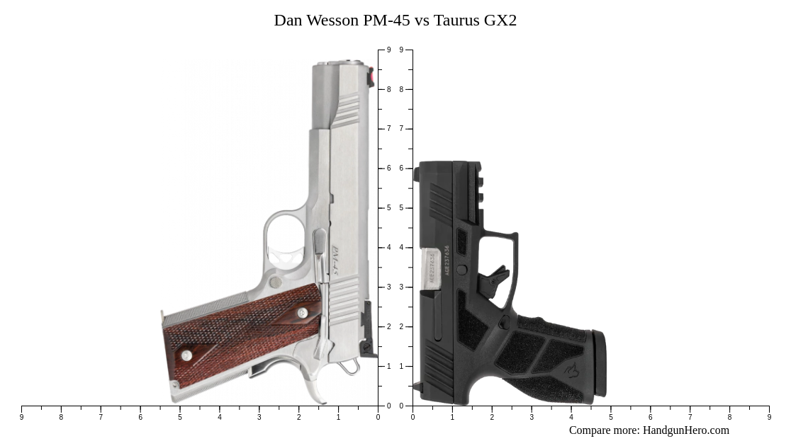 Dan Wesson PM-45 vs Taurus GX2 size comparison | Handgun Hero
