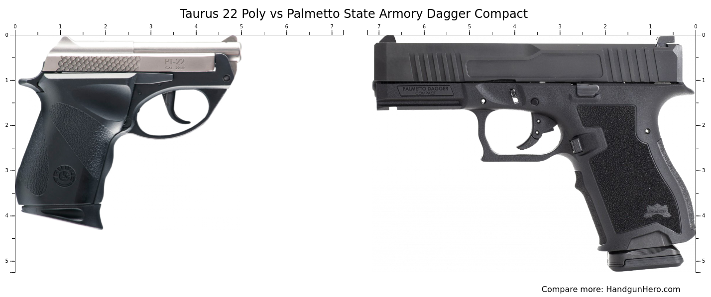 Taurus 22 Poly vs Palmetto State Armory Dagger Compact size comparison ...