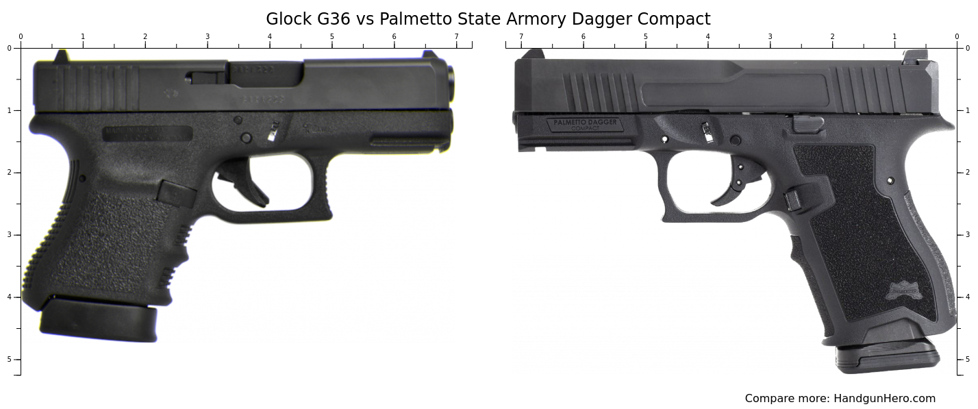 Glock G19 vs Glock G36 vs Glock G48 vs Palmetto State Armory Dagger ...