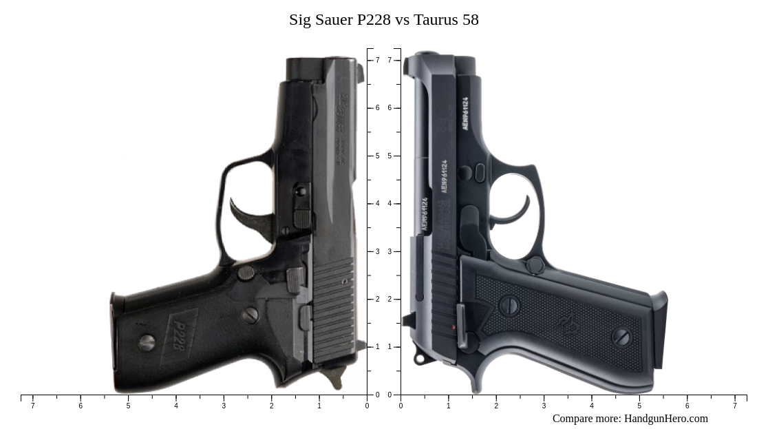 Sig Sauer P228 vs Taurus 58 size comparison | Handgun Hero