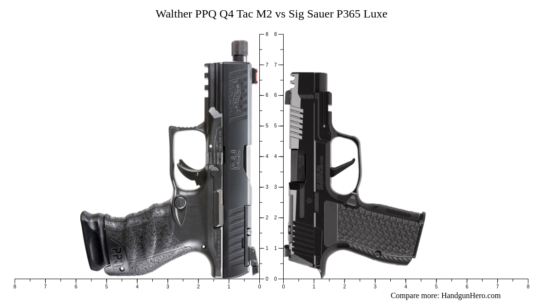 Walther PPQ Q4 Tac M2 vs Sig Sauer P365 Luxe size comparison | Handgun Hero