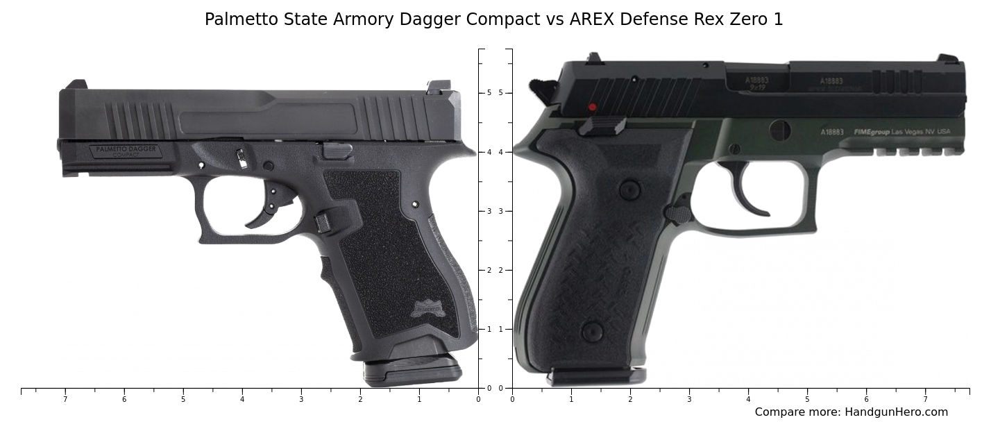 Palmetto State Armory Dagger Compact vs AREX Defense Rex Zero 1 size ...